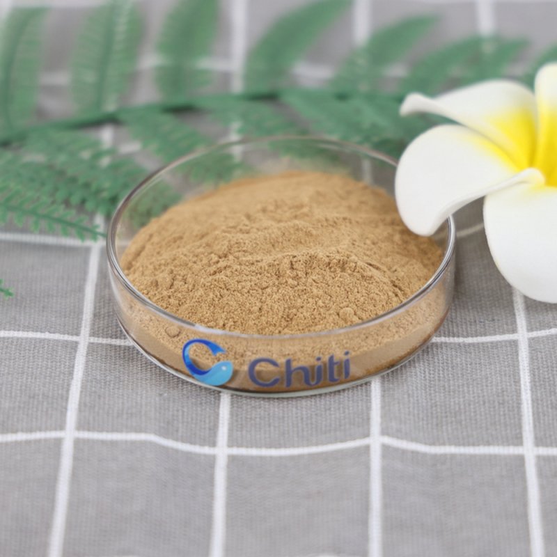 Classy Phyllanthus Emblica L. (Amla) Extract - Healthy Discounted ...